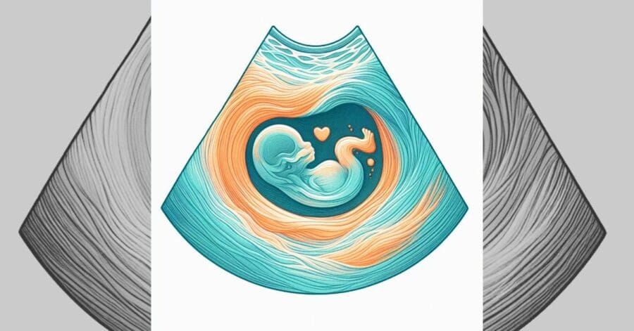 Echographie de grossesse : quand et pourquoi